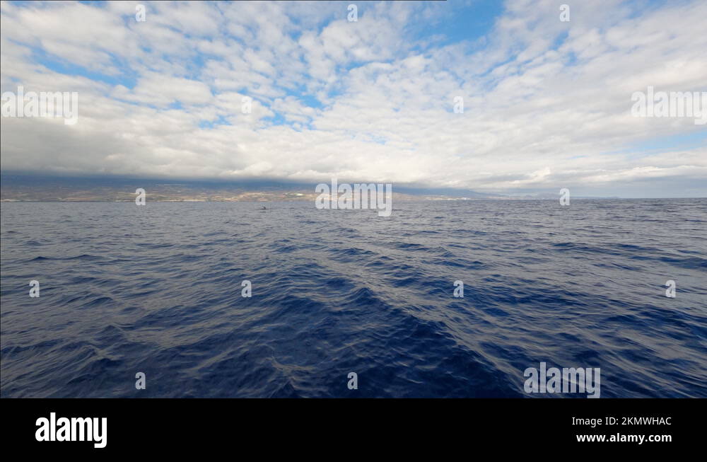 Ocean aesthetic Stock Videos & Footage - HD and 4K Video Clips - Alamy