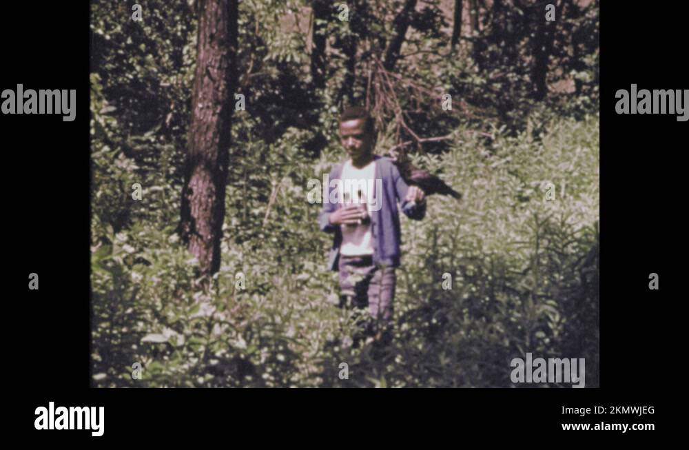 Man bird arm on bird Stock Videos & Footage - HD and 4K Video Clips - Alamy