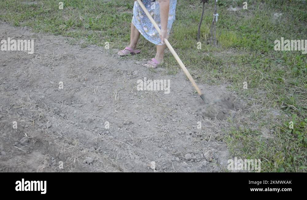 Ground levels Stock Videos & Footage - HD and 4K Video Clips - Alamy