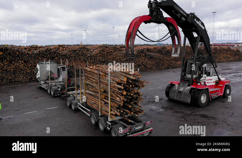 Gathering timber Stock Videos & Footage - HD and 4K Video Clips - Alamy