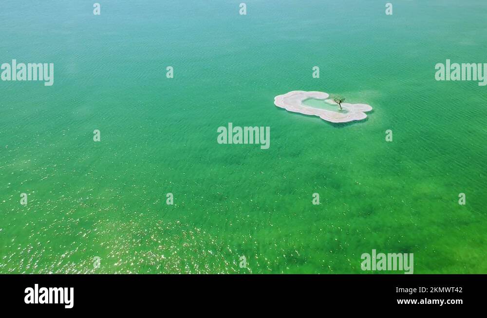 Tree island Stock Videos & Footage - HD and 4K Video Clips - Alamy