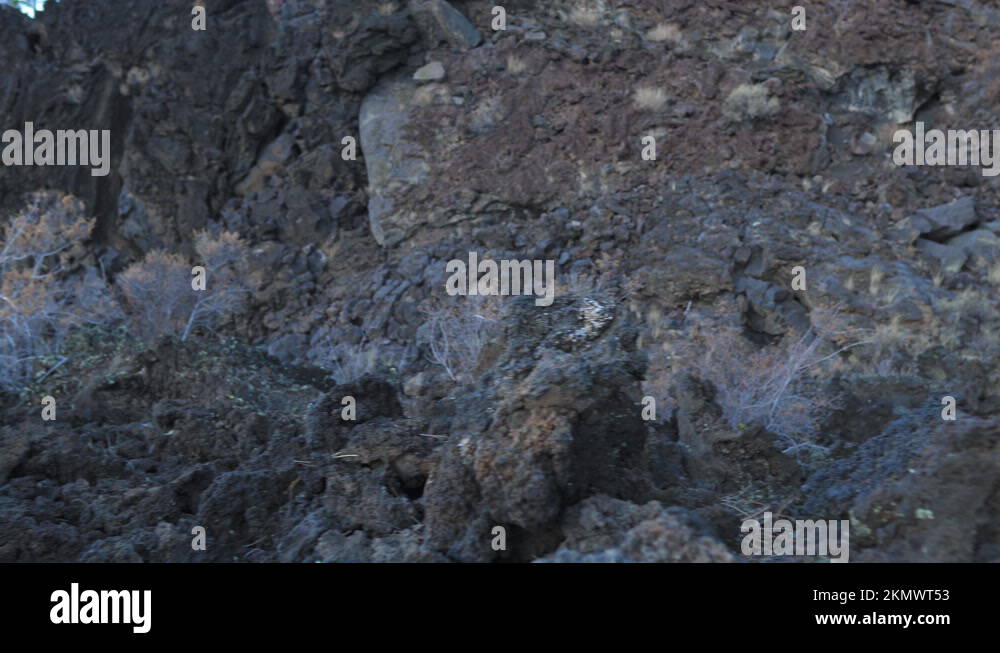 Formation of lava Stock Videos & Footage - HD and 4K Video Clips - Alamy