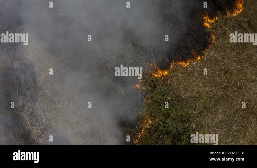 Tragic fires Stock Videos & Footage - HD and 4K Video Clips - Alamy