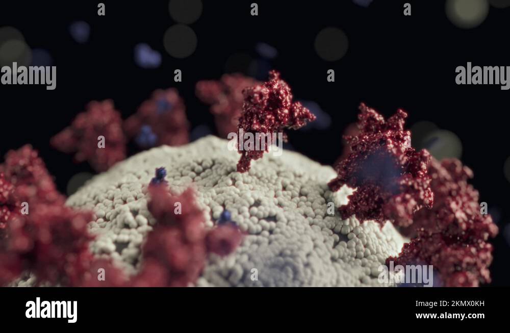 Sars cov 2 virus spike protein and antibodies Stock Videos & Footage ...