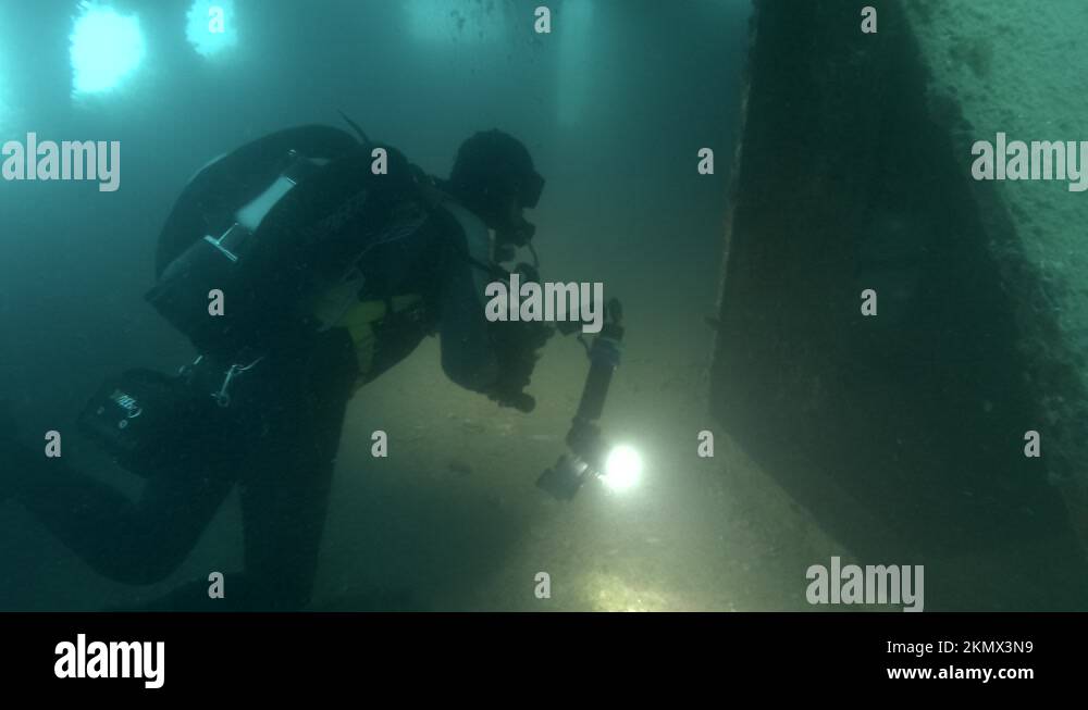 Diving i Stock Videos & Footage - HD and 4K Video Clips - Alamy
