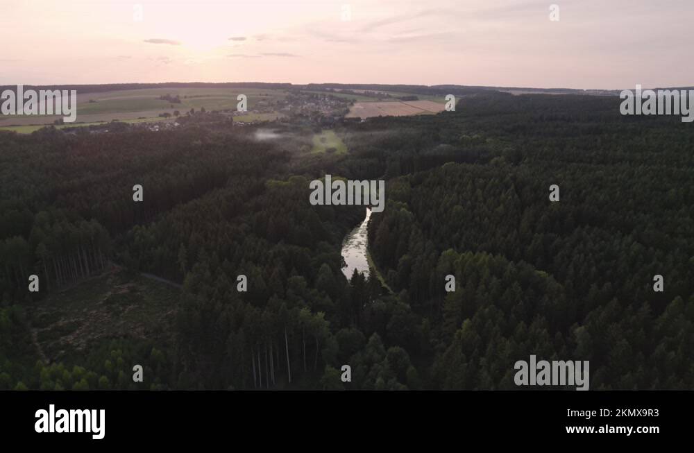 Forest retention Stock Videos & Footage - HD and 4K Video Clips - Alamy