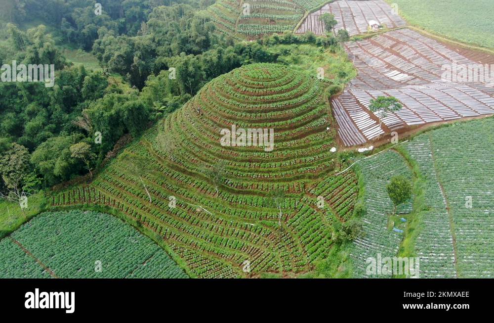 Rural indonesia Stock Videos & Footage - HD and 4K Video Clips - Alamy