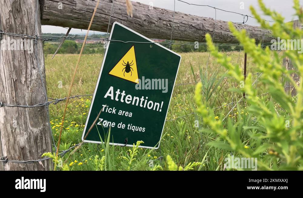 Tick insect warning sign Stock Videos & Footage - HD and 4K Video Clips ...