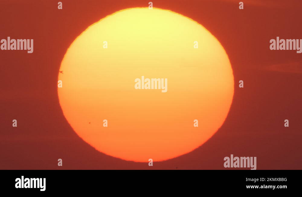 The huge sun background of flying birds Stock Video Footage - Alamy