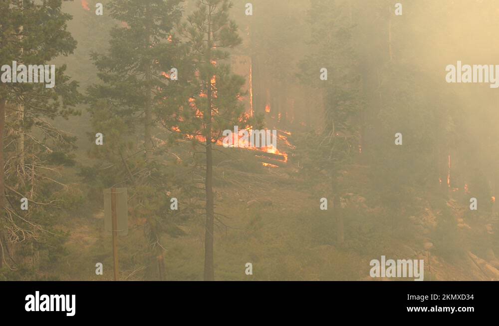 Raging fire Stock Videos & Footage - HD and 4K Video Clips - Alamy