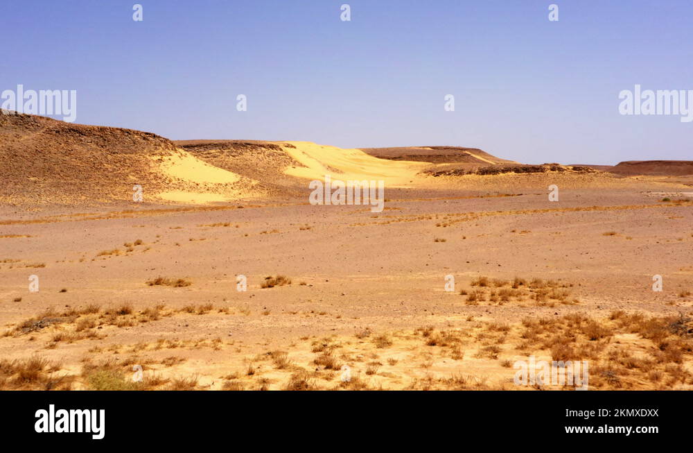 Arid growth Stock Videos & Footage - HD and 4K Video Clips - Alamy