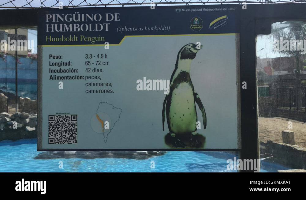 Peru - Lima - Zoo / Parque de las Leyendas / Garden / Animals / Huaca - #48 Stock Video Footage ...