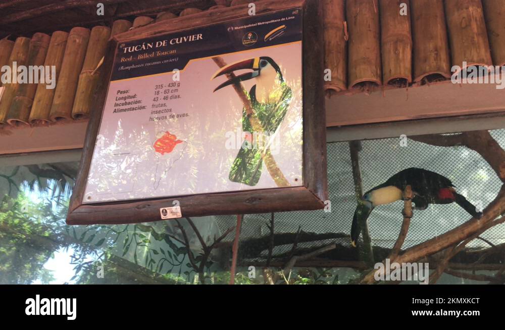 Peru - Lima - Zoo / Parque de las Leyendas / Garden / Animals / Huaca ...