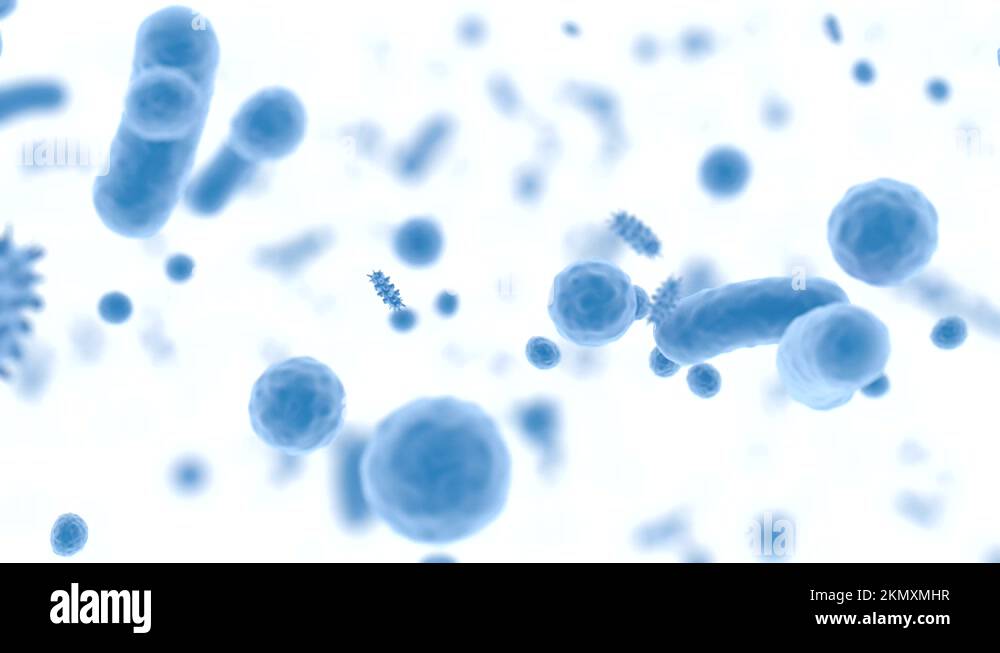 Microbiome colon Stock Videos & Footage - HD and 4K Video Clips - Alamy