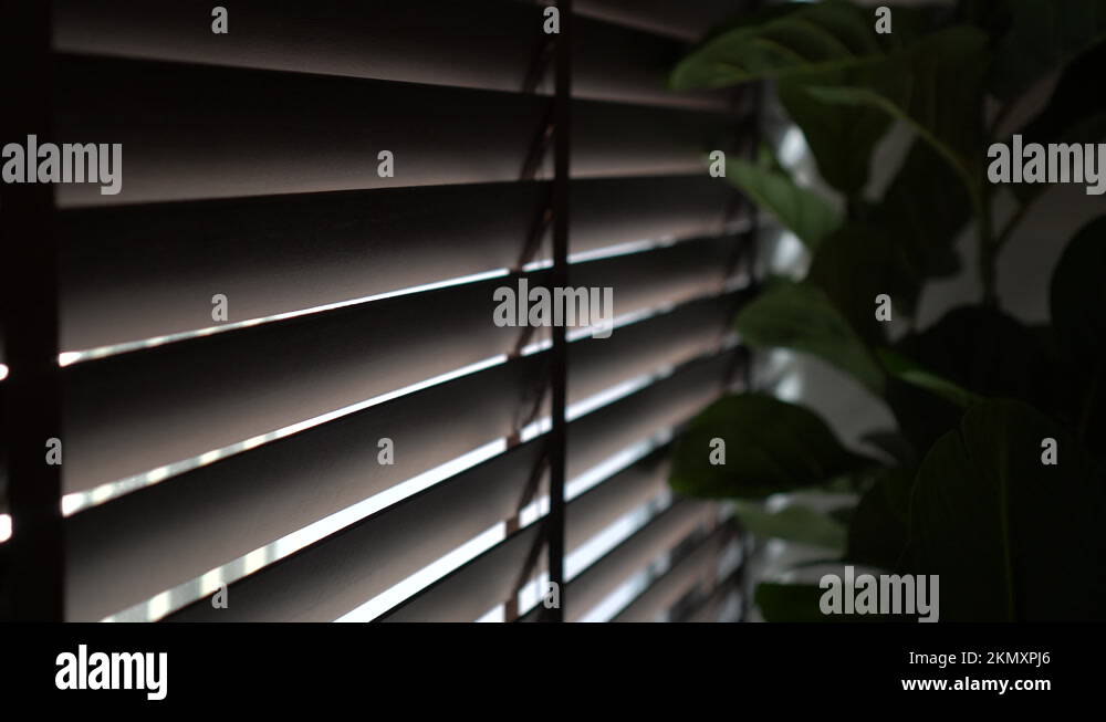 Shutter close open Stock Videos & Footage - HD and 4K Video Clips - Alamy