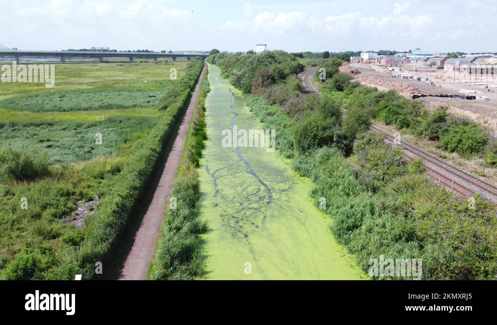 Concrete green algae Stock Videos & Footage - HD and 4K Video Clips - Alamy