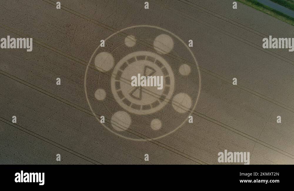 Barley crop artwork Stock Videos & Footage - HD and 4K Video Clips - Alamy