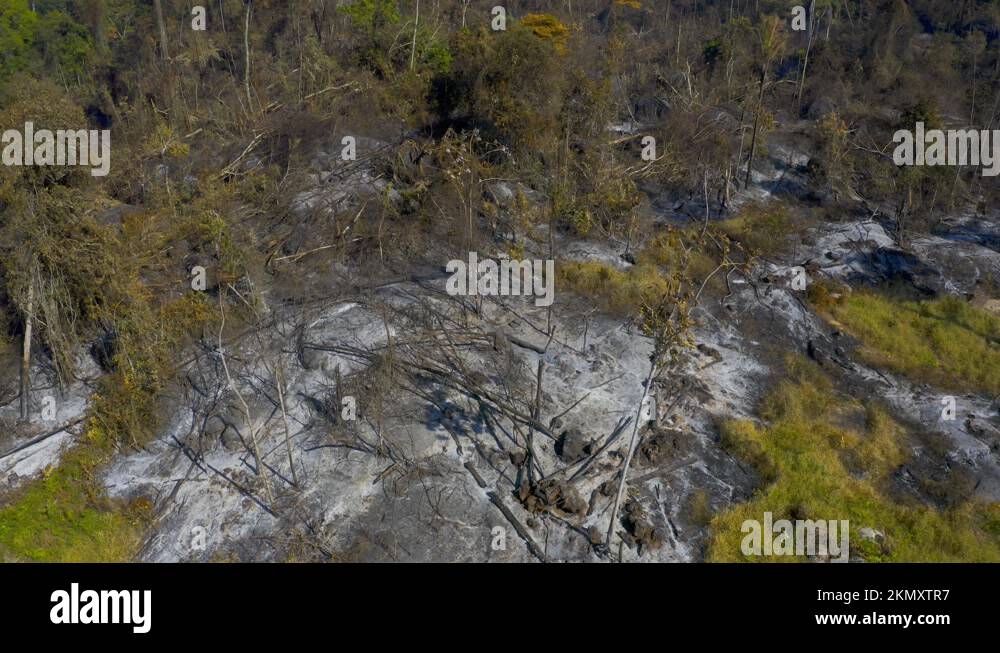 Destruction from a wildfire in the Amazon rain forest; climate change ...