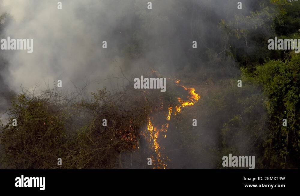 Rainforest destruction fire Stock Videos & Footage - HD and 4K Video ...
