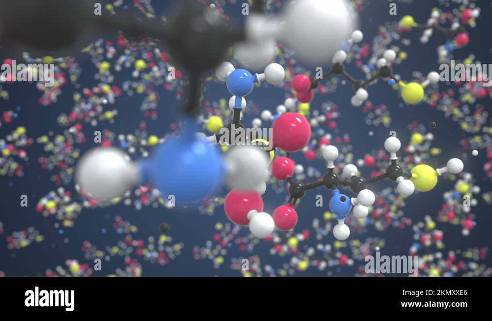 Homocysteine molecule, conceptual molecular model. Chemical looping 3d ...
