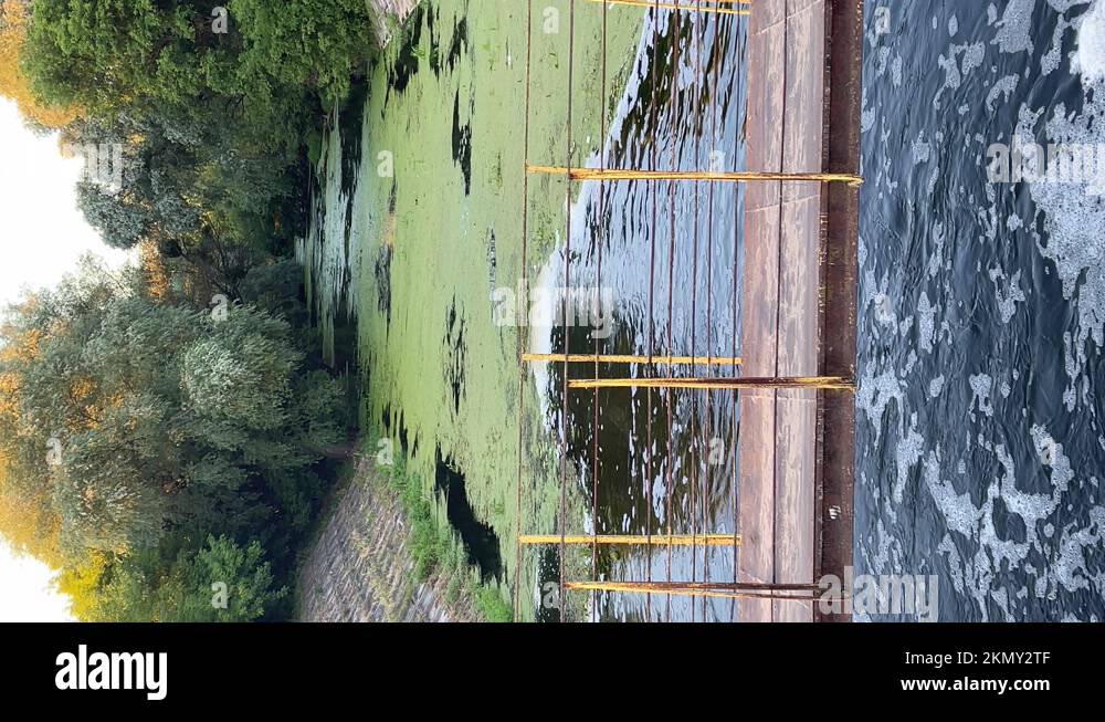Duckweed river Stock Videos & Footage - HD and 4K Video Clips - Alamy