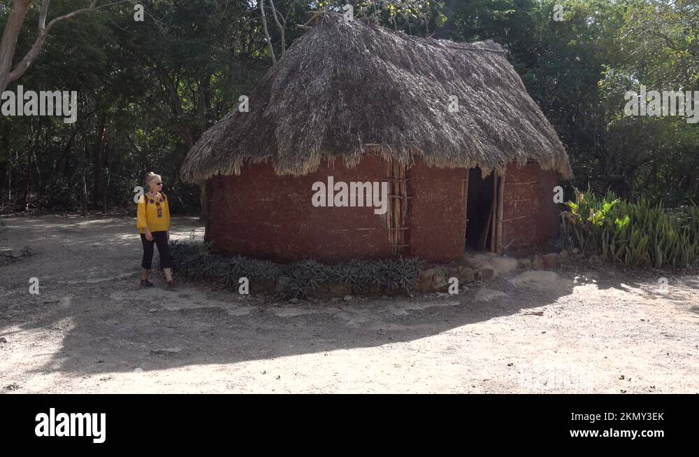 Pre columbian mayan civilization Stock Videos & Footage - HD and 4K ...