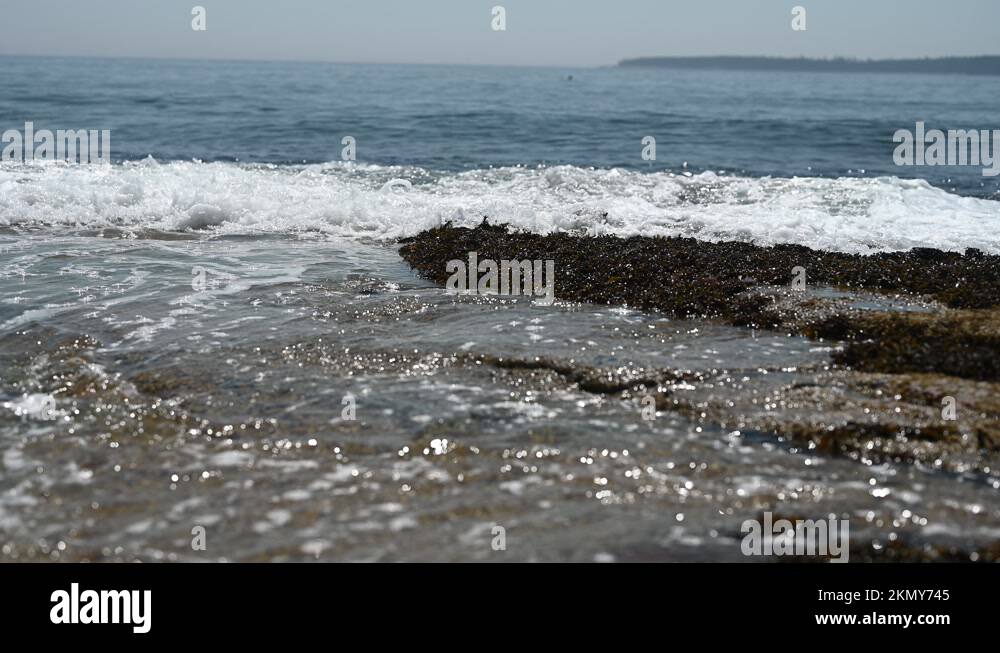 Tide refreshing pools at the oceanfront of Wonderland Trail Acadia ...