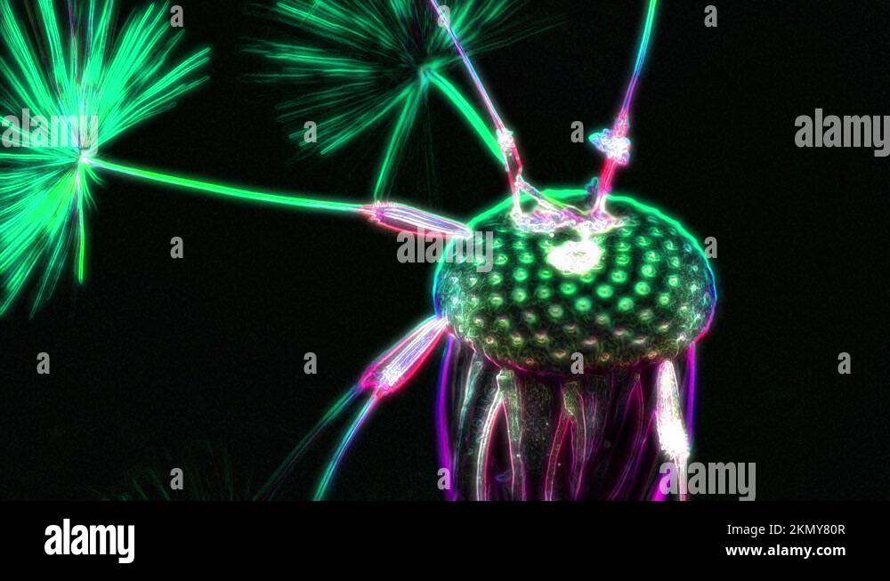 seamless looping motion graphic features a detailed close up view of a ...