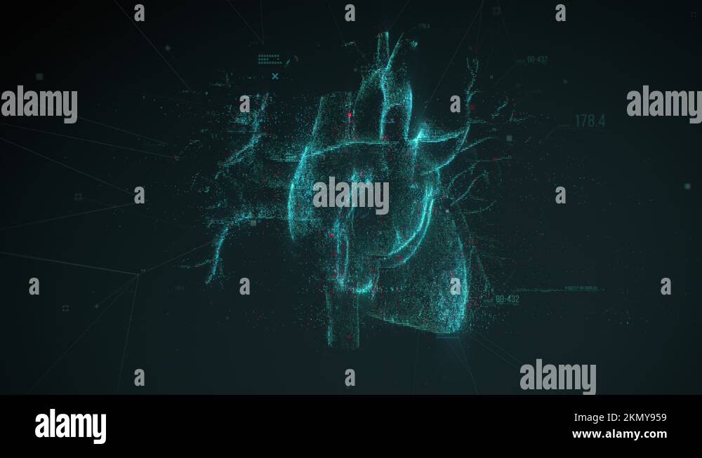 Digital model of the Human heart and major blood vessels Stock Video ...