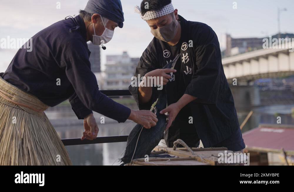 Master fisherman Stock Videos & Footage - HD and 4K Video Clips - Alamy