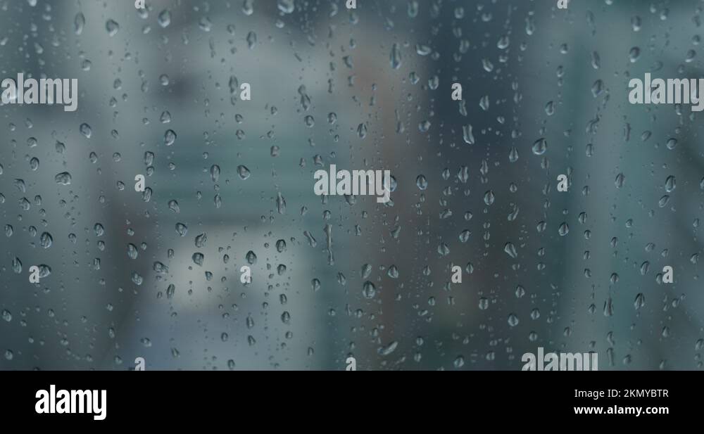 Rain condensation drop Stock Videos & Footage - HD and 4K Video Clips ...