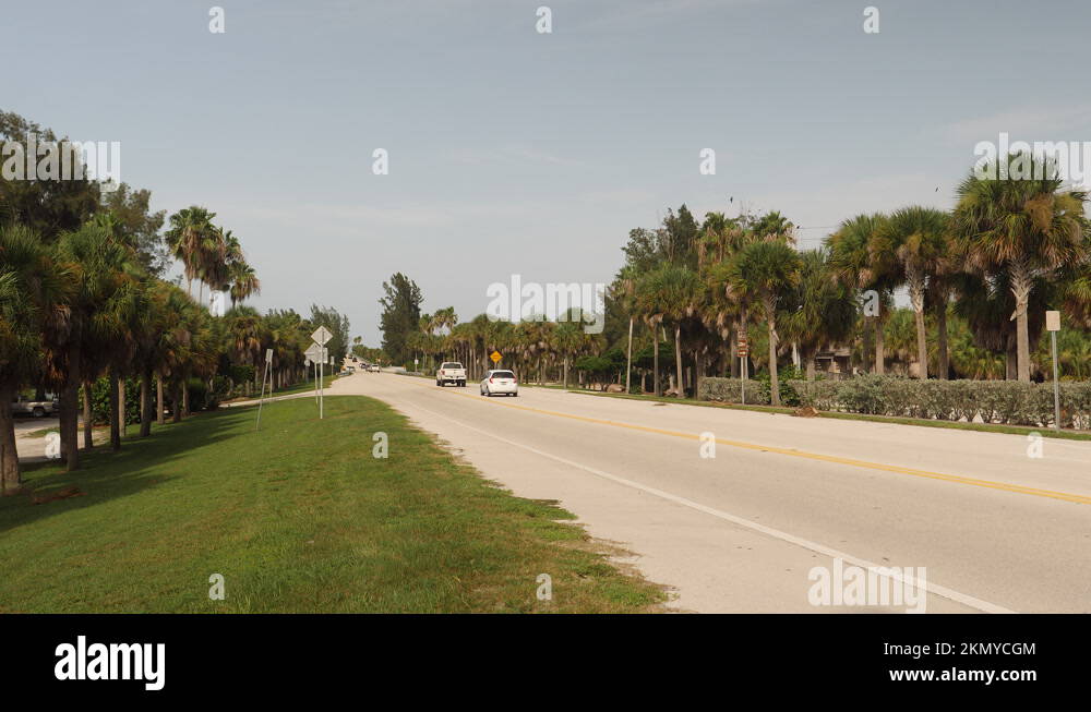Florida road palm trees Stock Videos & Footage - HD and 4K Video Clips ...