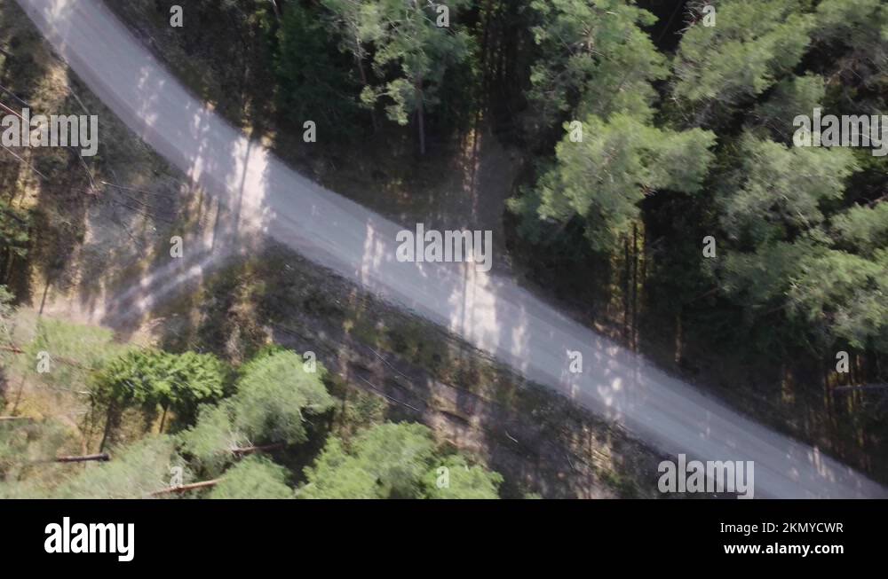 Forest texture Stock Videos & Footage - HD and 4K Video Clips - Alamy