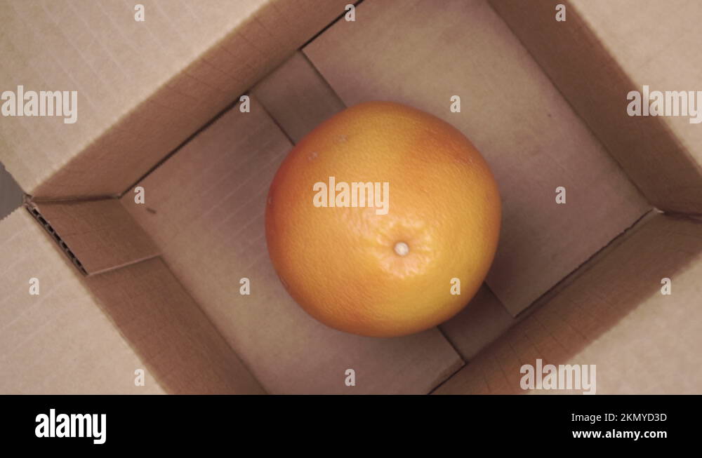 Citrus tropical Stock Videos & Footage - HD and 4K Video Clips - Alamy