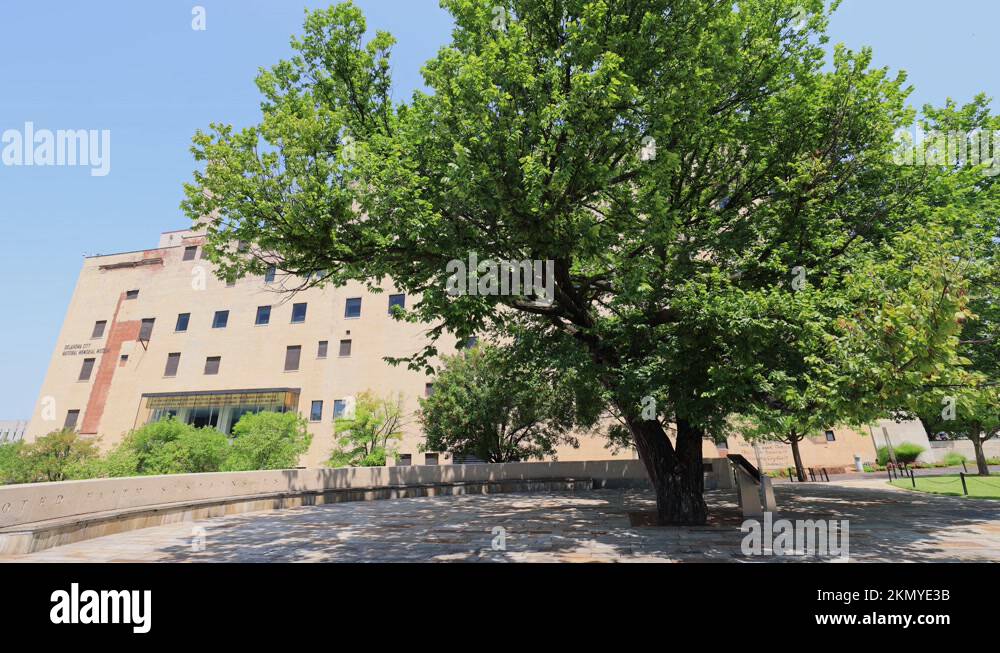 The Survivor Tree in the Oklahoma City National Memorial and Museum ...