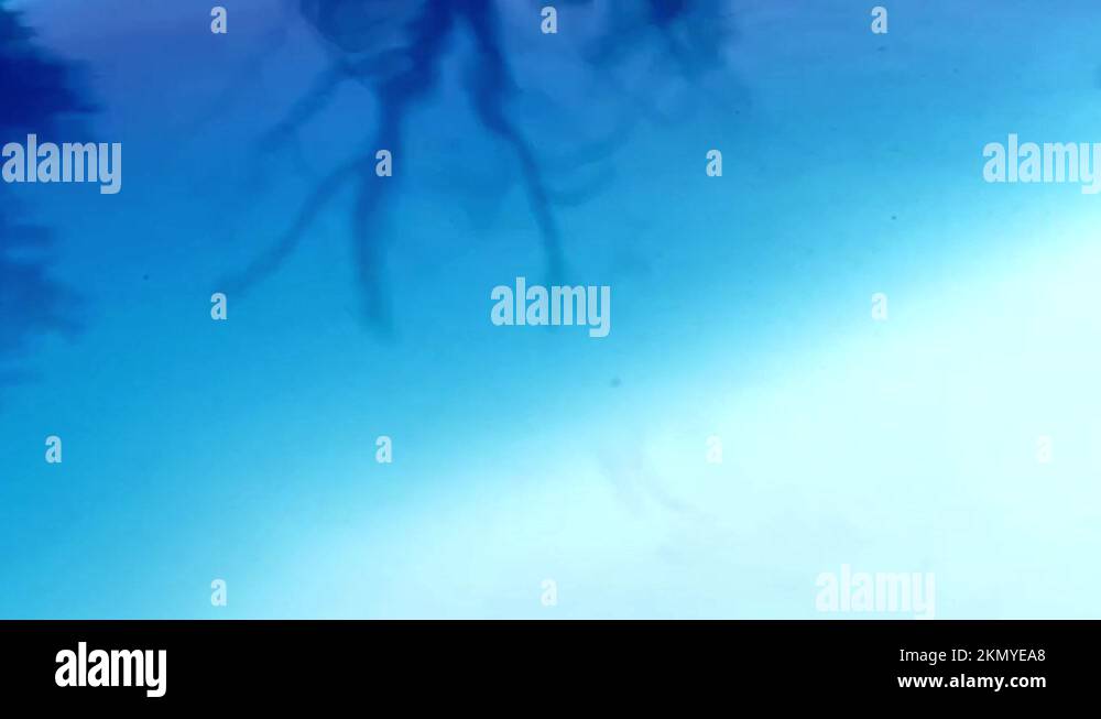 Drip splash Stock Videos & Footage - HD and 4K Video Clips - Alamy