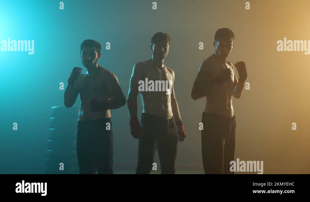 Three boxers Stock Videos & Footage - HD and 4K Video Clips - Alamy