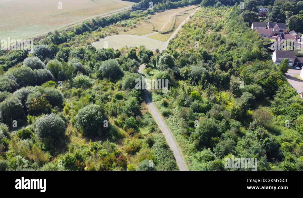 Vegetation field england Stock Videos & Footage - HD and 4K Video Clips ...