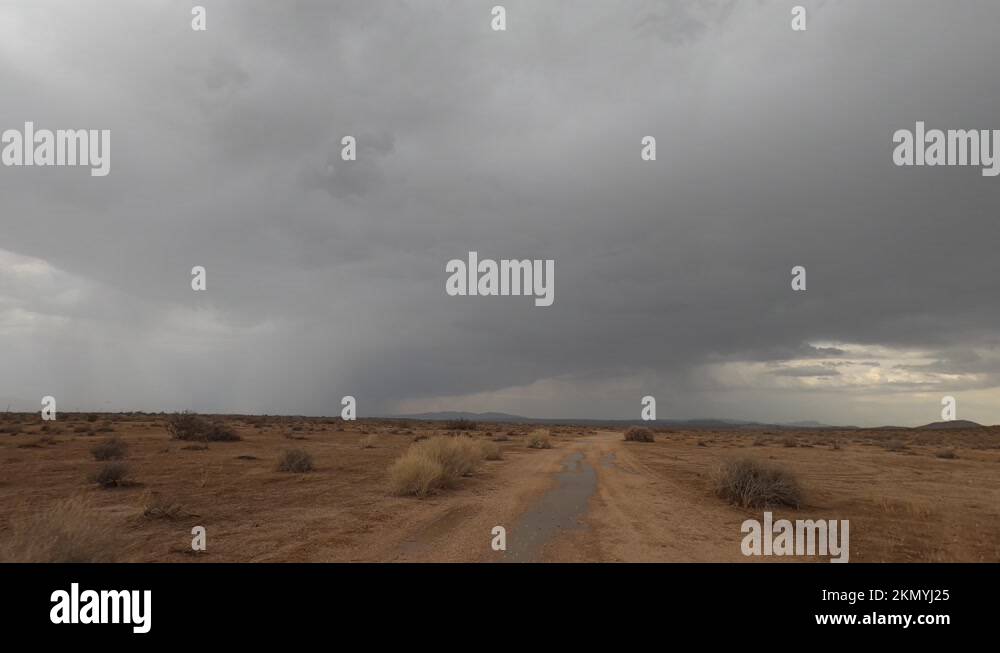 Driving through the Mojave Desert with the sand wet from rain and a ...