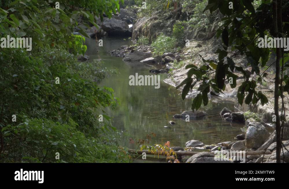 Swamp On Crystal Cascades Rockpools At Rainforest On Summer Near Cairns ...
