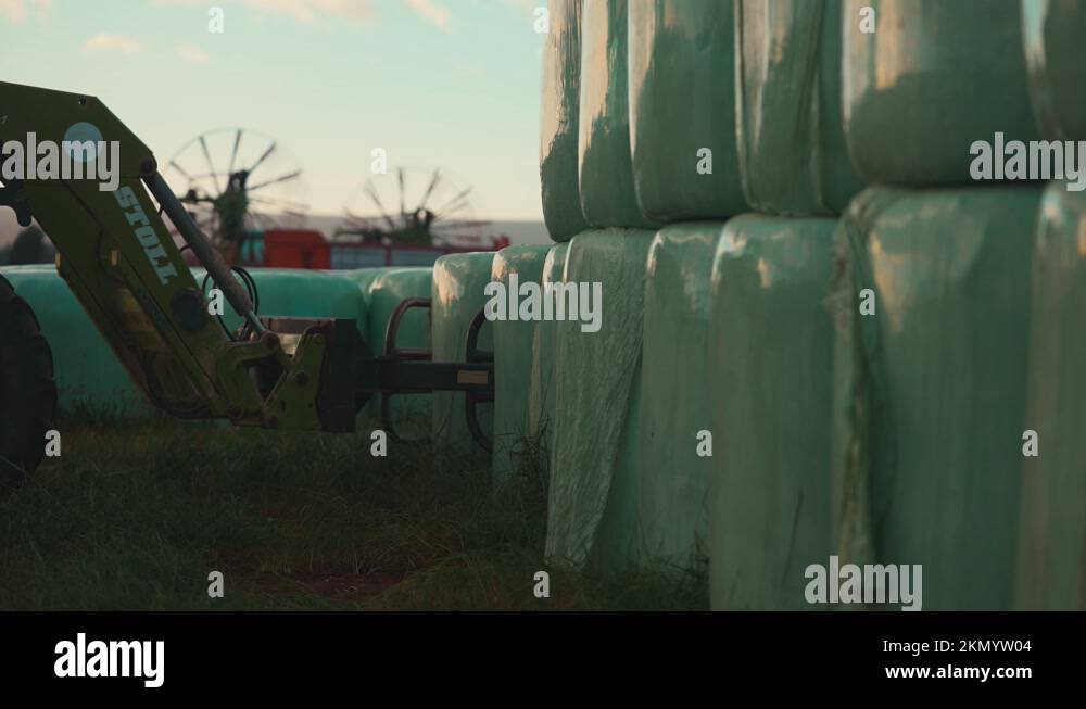 Tractor lifting large plastic wrapped silage bale, fodder storage for ...