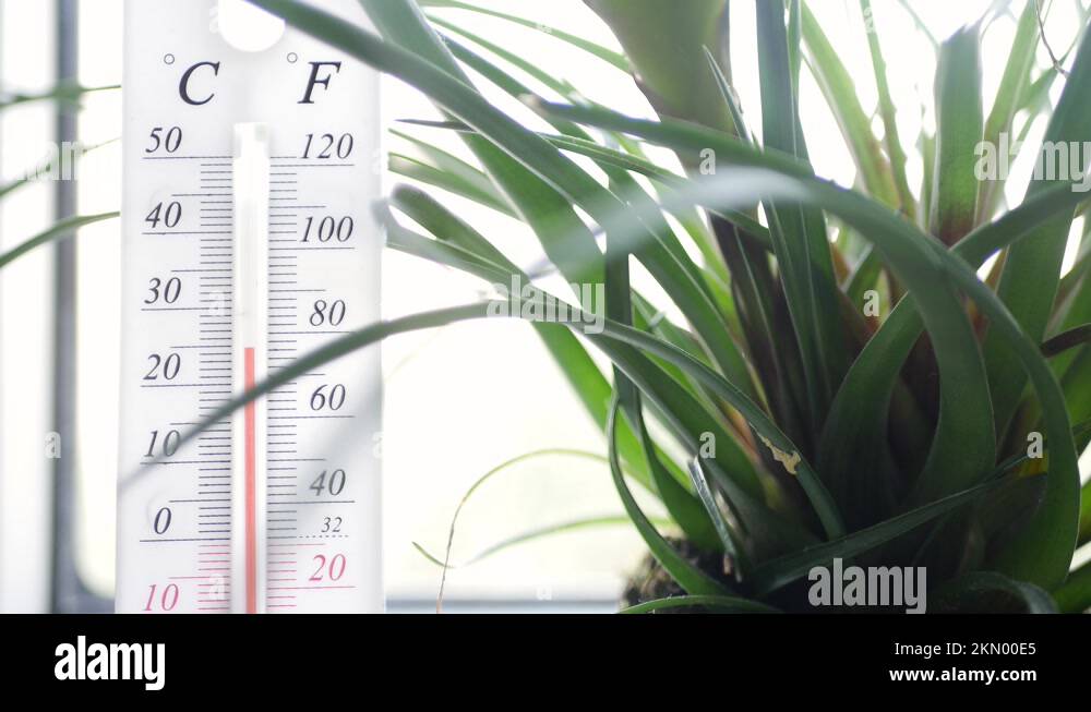 Temperature control for plants Stock Videos & Footage - HD and 4K Video ...
