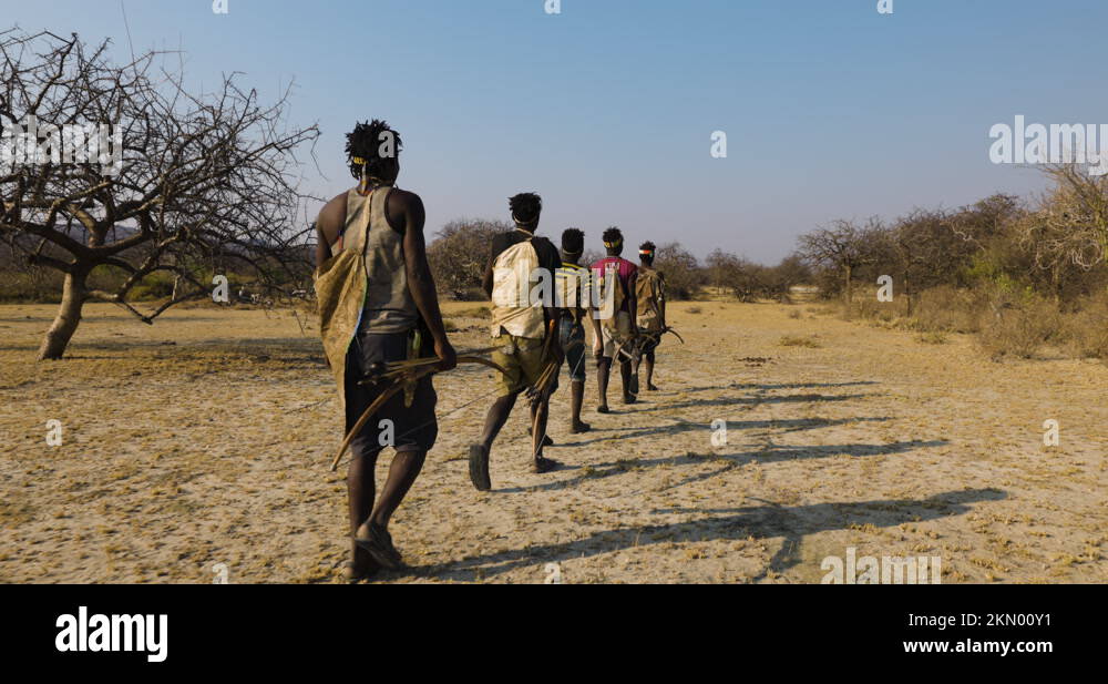 Back view of a group of Hadza hunter-gatherer tribesmen out hunding bow ...