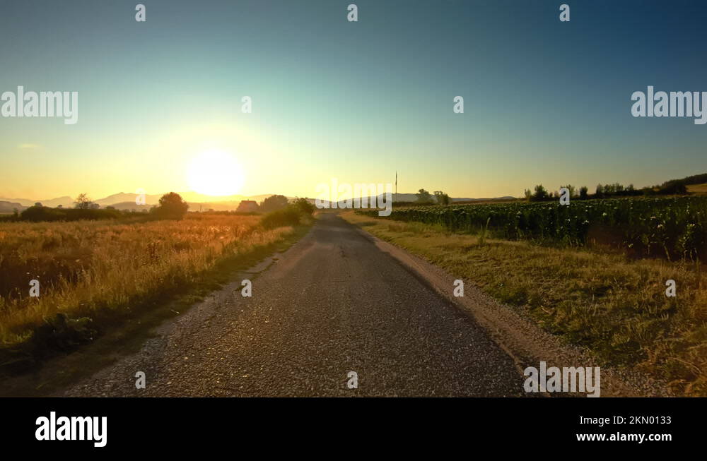 Narrow fields Stock Videos & Footage - HD and 4K Video Clips - Alamy