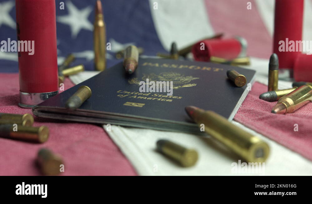 Identification of shells Stock Videos & Footage - HD and 4K Video Clips ...