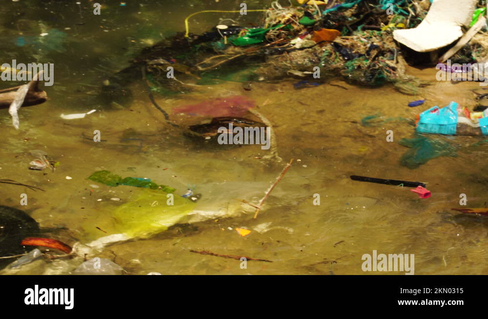 Dirty, contaminated water with plastic trash and microplastics floating ...