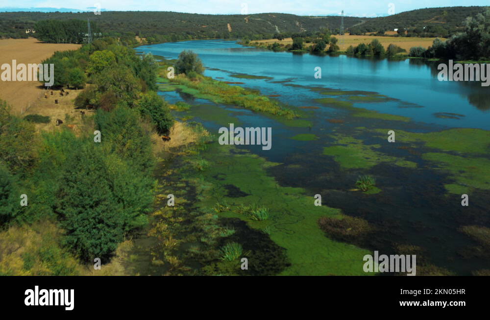 Delta landform Stock Videos & Footage - HD and 4K Video Clips - Alamy