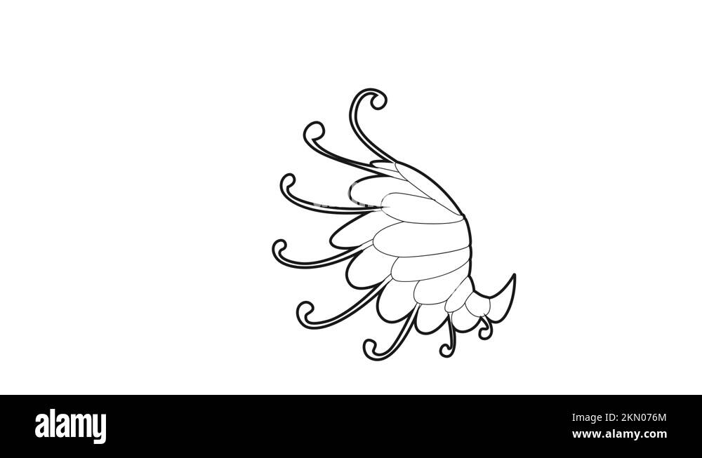 Curve of wing Stock Videos & Footage - HD and 4K Video Clips - Alamy