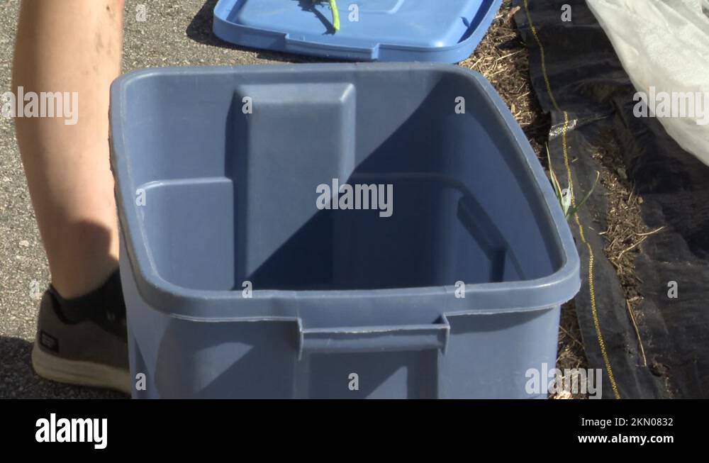 Bins harvesting Stock Videos & Footage - HD and 4K Video Clips - Alamy