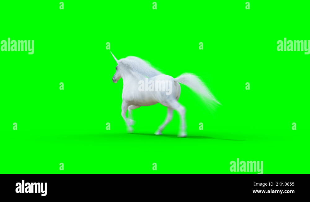 Runing white magical unicorn. Green screen realistic animation Stock ...